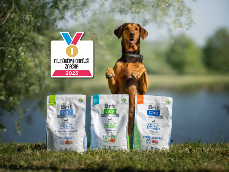 BRIT: The most trusted petfood brand - Vafo BRIT: The most trusted petfood brand - Vafo